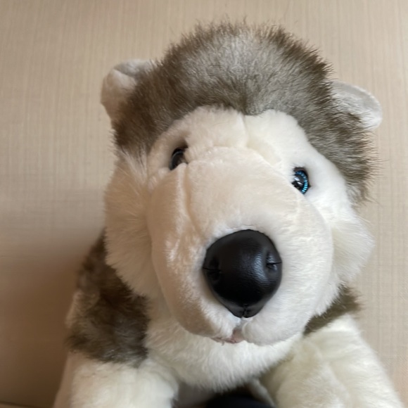 Build-A-Bear | Toys | Stuffed Animal Husky Dog | Poshmark